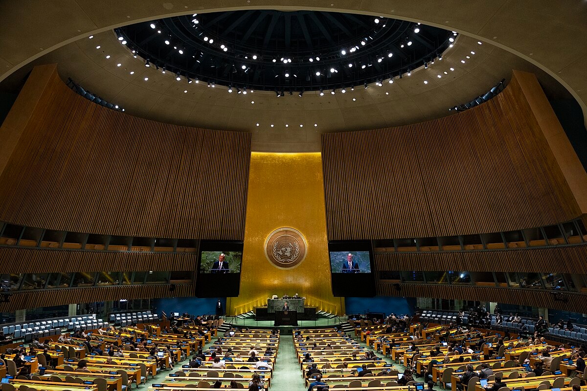 ¿Qué se sabe sobre el artículo 34 de la ONU y qué significa que sea ...